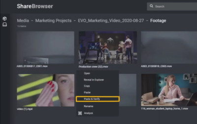 ShareBrowser Media Asset Manager - SNS (Studio Network Solutions)