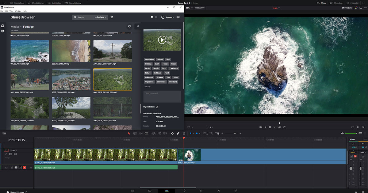 ShareBrowser Media Asset Manager's DaVinci Resolve Plugin